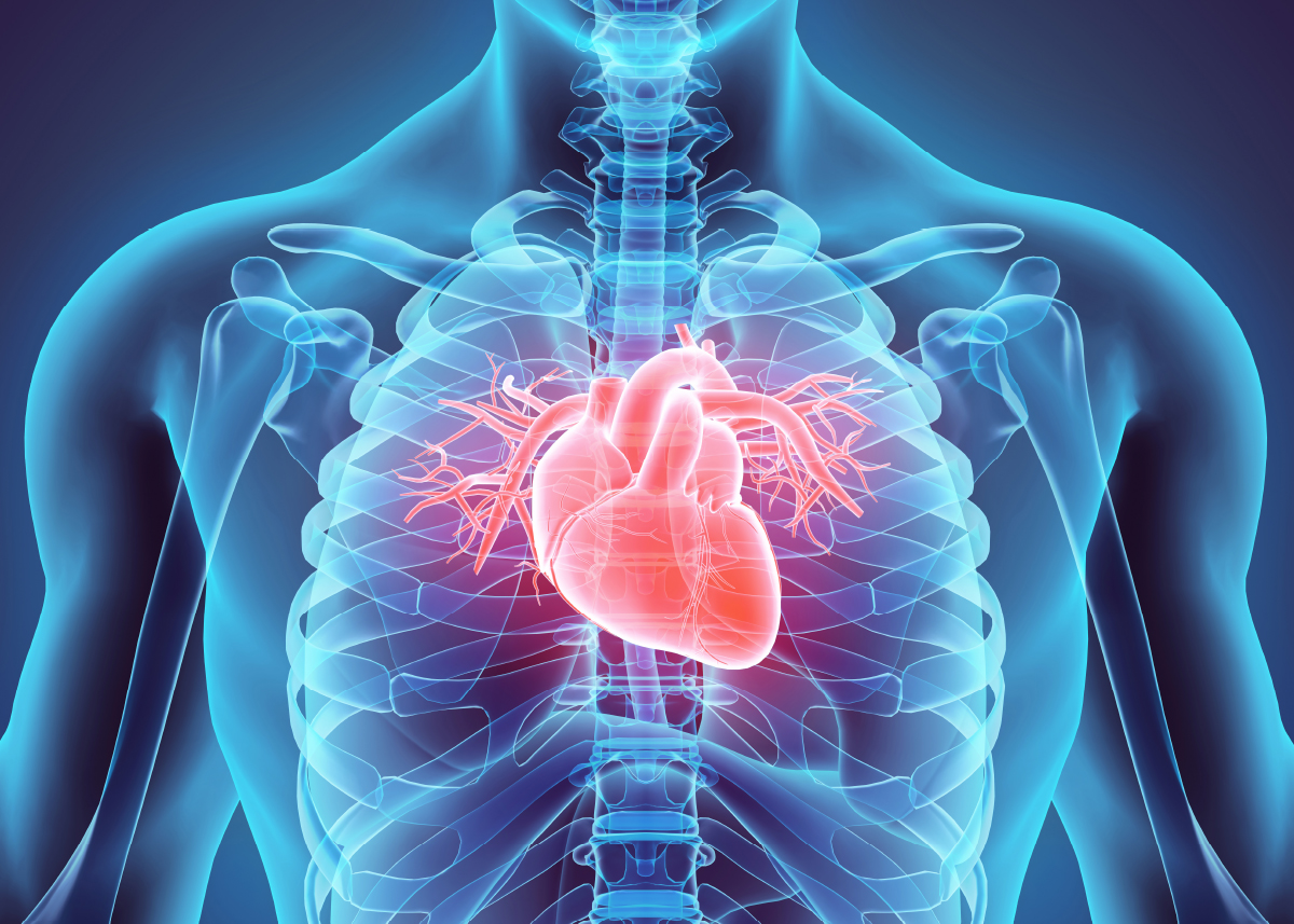 Risk Factors for Steroid-toxicity and Cardiovascular Disease Overlap
